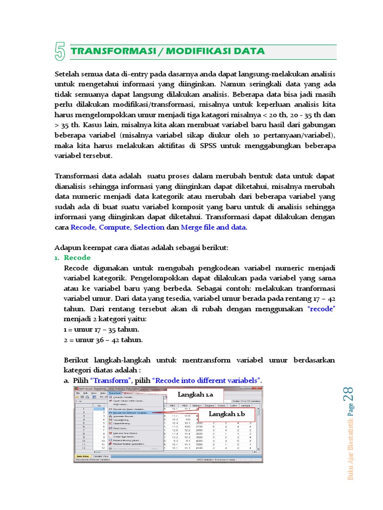 Transformasi Data | PDF