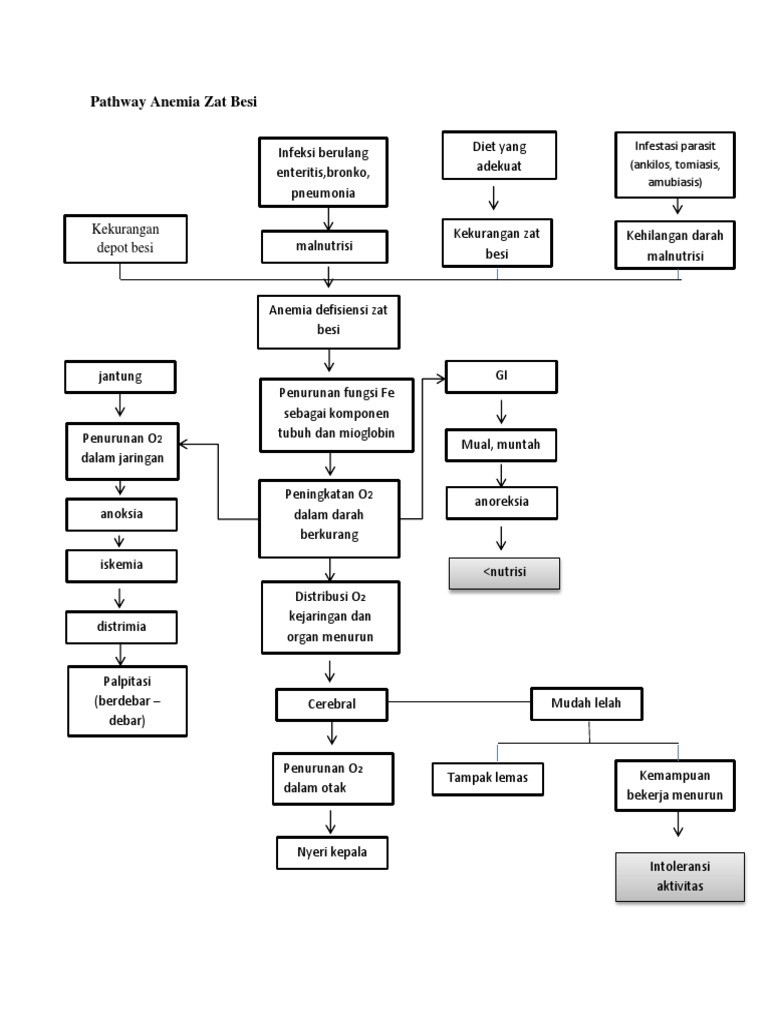 Pathway Anemia Defisiensi Besi | PDF