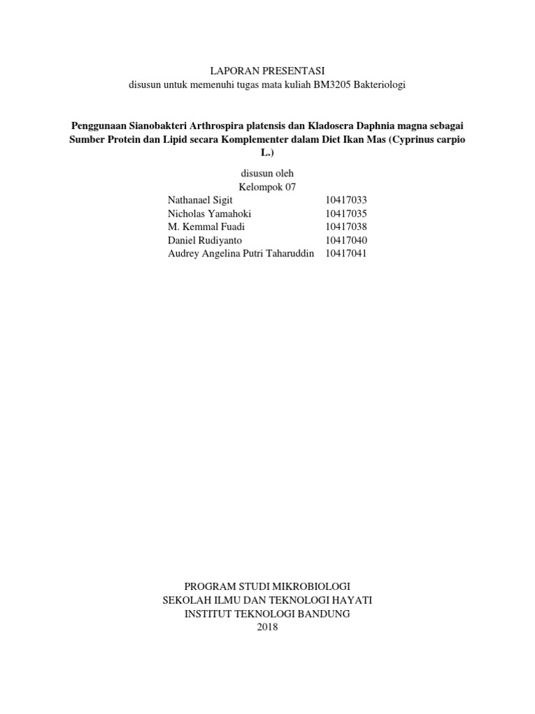 Laporan Presentasi | PDF