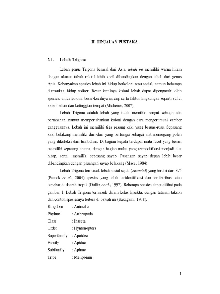 Tinpus Trigona 1 | PDF