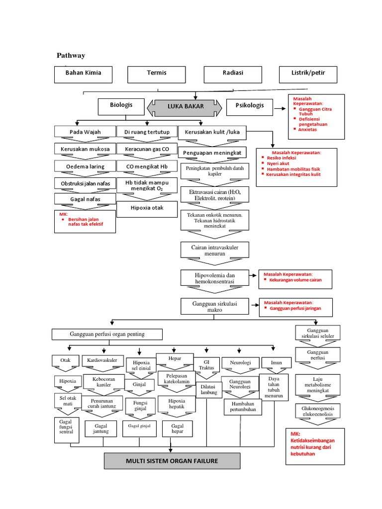 Pathway Luka Bakar | PDF