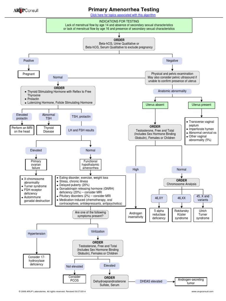 Primary Amenorrhea Testing Algorithm | PDF | Reproductive System ...