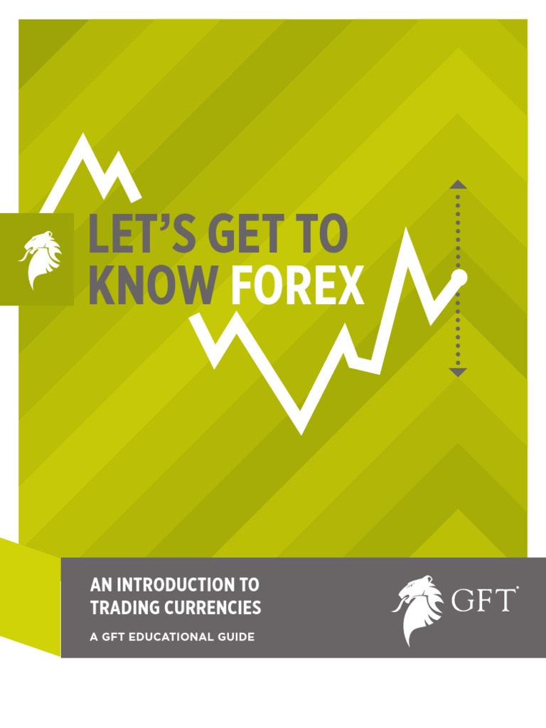 Forex Basics Guide | PDF | Foreign Exchange Market | International Finance