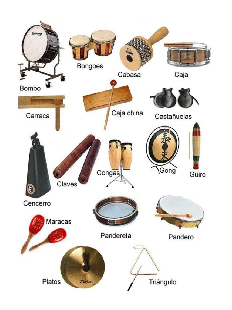 15 Instrumentos Musicales Pdf