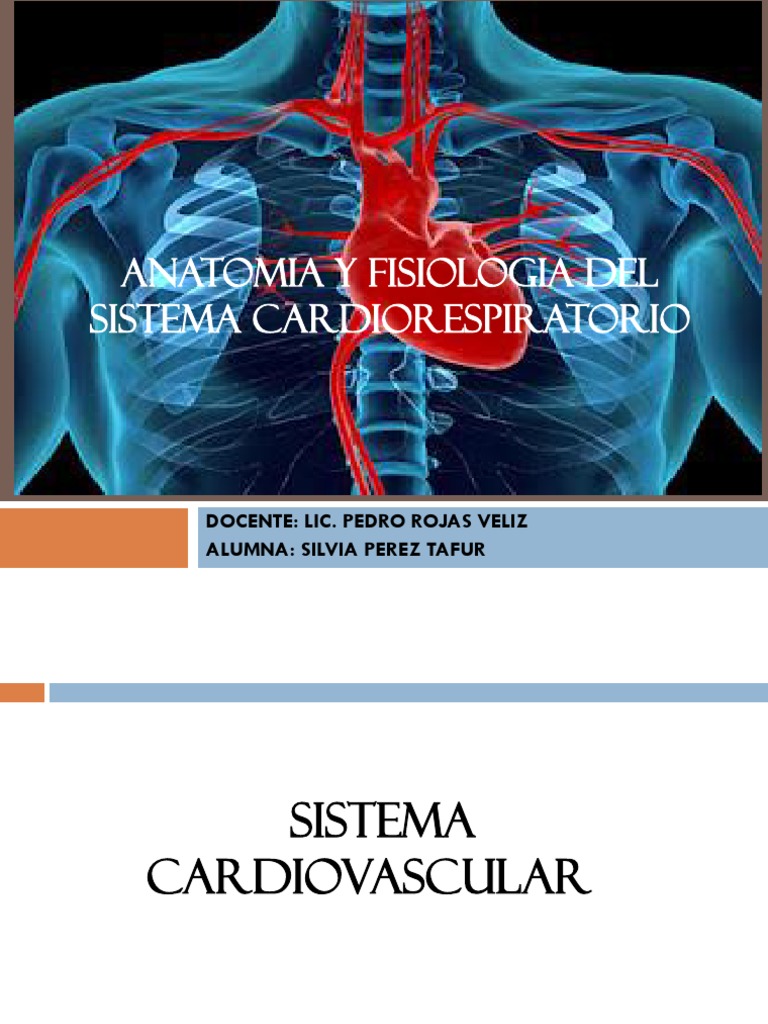 Anatomia y Fisiologia Del Sistema Cardiorespiratorio Nuevo | PDF ...