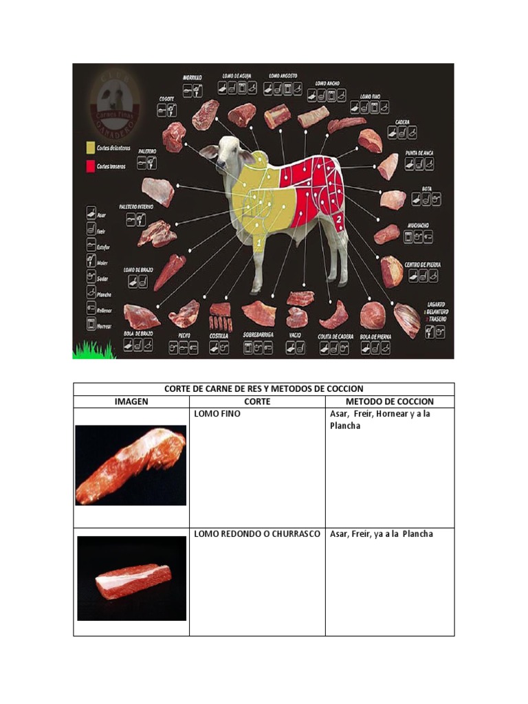 Corte de Carne de Res y Metodos de Coccion | PDF