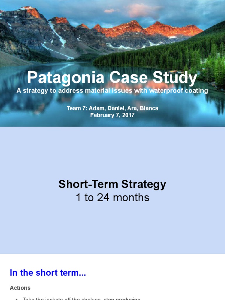 Patagonia Case Study: A Strategy To Address Material Issues With ...