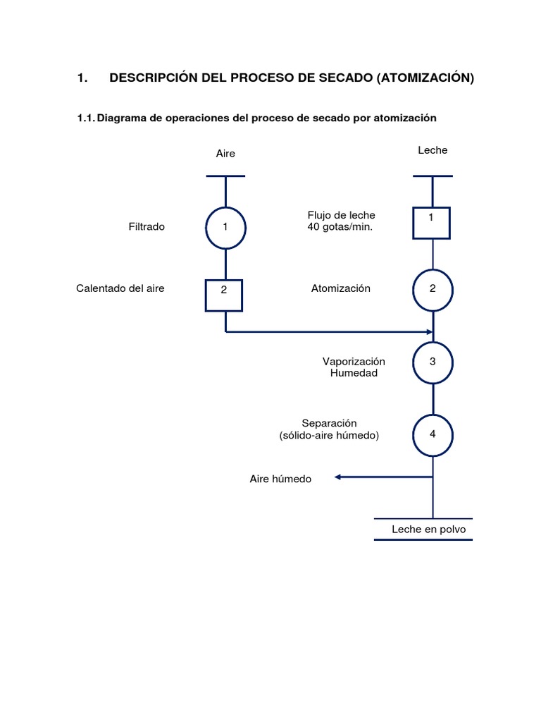 Descripción Del Proceso de Secado | PDF | Temperatura | Leche en polvo