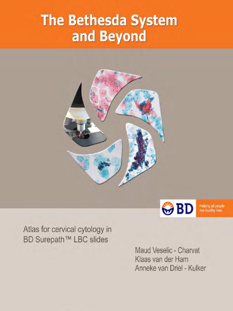 The Bethesda System and Beyond | PDF | Uterus | Cytopathology