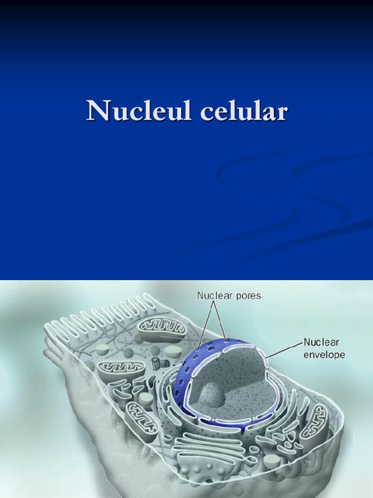 Nucleul Celular | PDF
