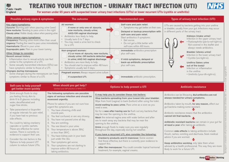 Treating Your Infection Uti | PDF | Urinary Tract Infection | Diseases ...