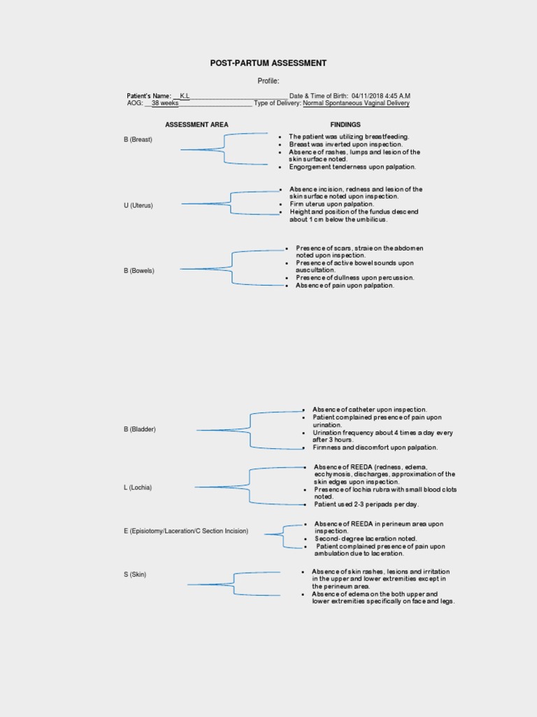 Post-Partum Assessment: Profile | PDF | Vagina | Labia