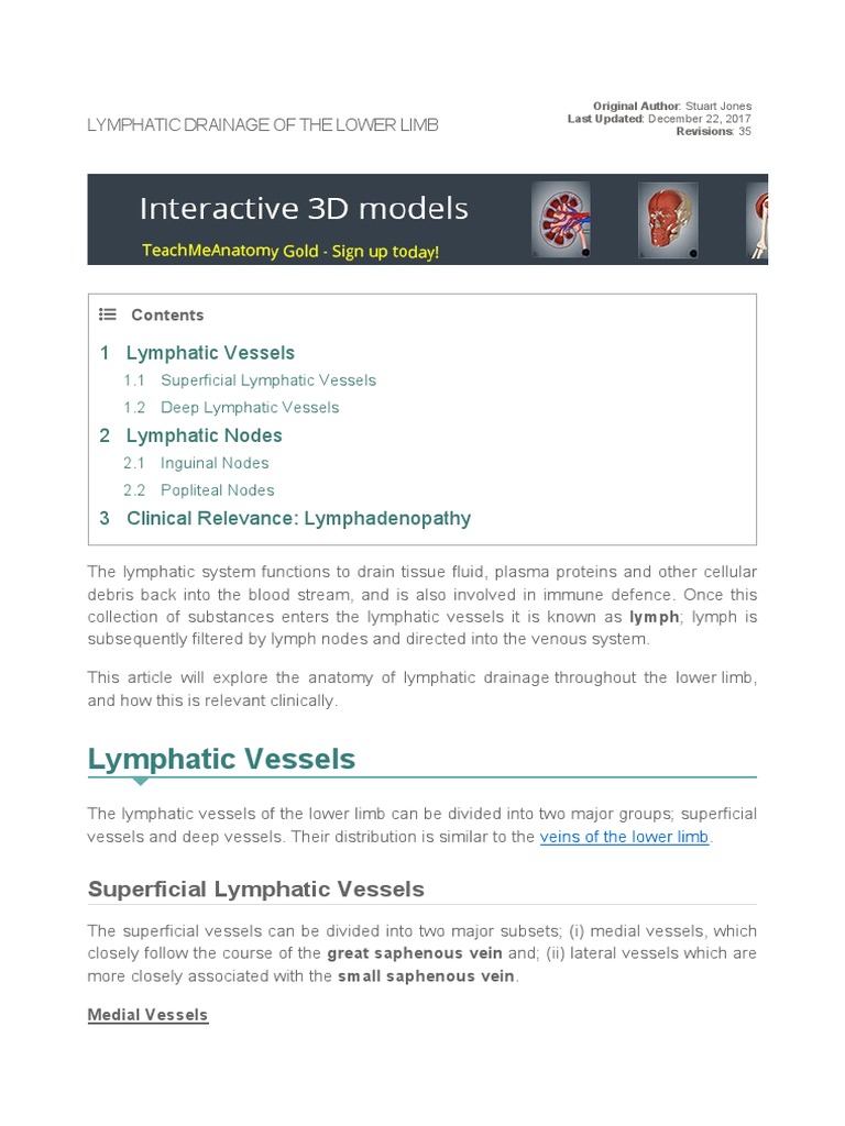 Lymphatic System | PDF | Lymphatic System | Human Leg