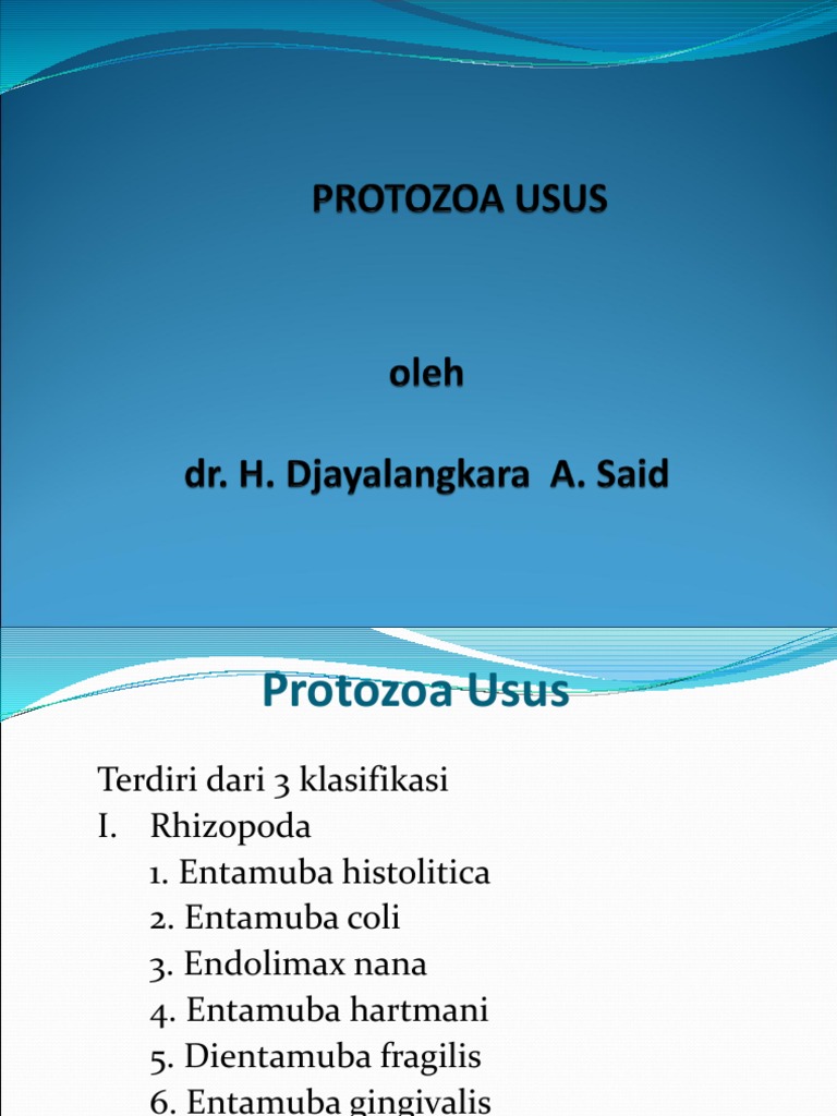 Protozoa Usus 2 | PDF