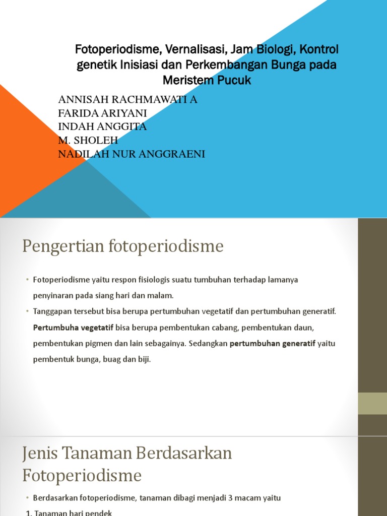 Jadwal Bus Harapan Baru | PDF