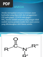 Makalah AMIDA - Kelompok 1 IPA B | PDF