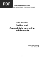 Proiect de Cercetare Model | PDF
