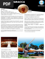 Regiones INACIF Guatemala | PDF | Salud y bienestar