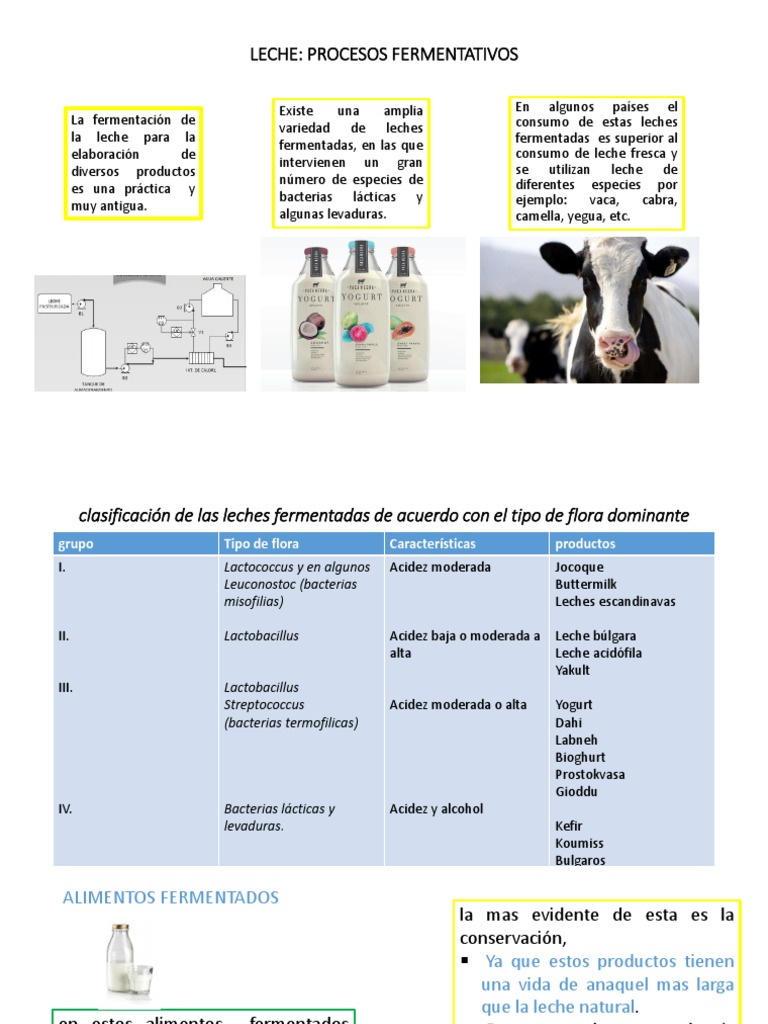 Procesos Fermentativos | Descargar gratis PDF | Yogur | Queso