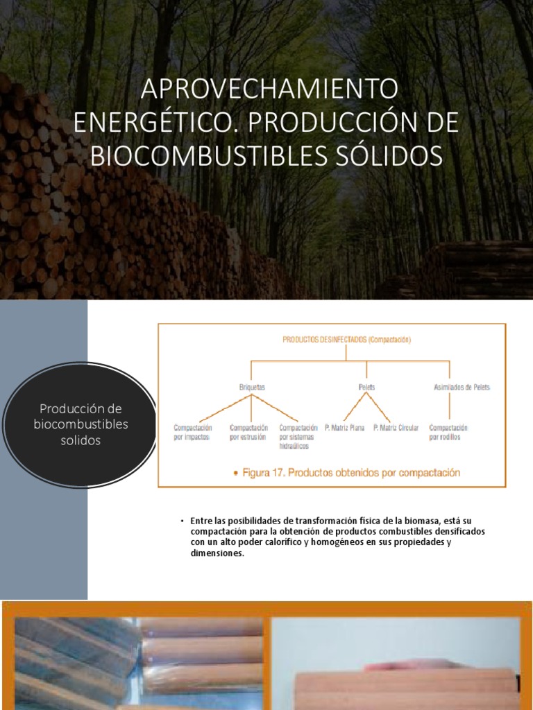 Biomasa Presentacion | PDF | Biomasa | Biocombustible