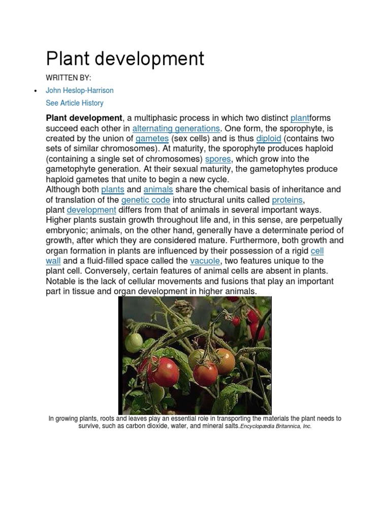 Plant Development: Plant Development, A Multiphasic Process in Which ...