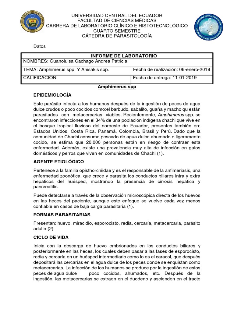 Amphimerus y Anisakis.. | PDF | Medicina | Especialidades Medicas