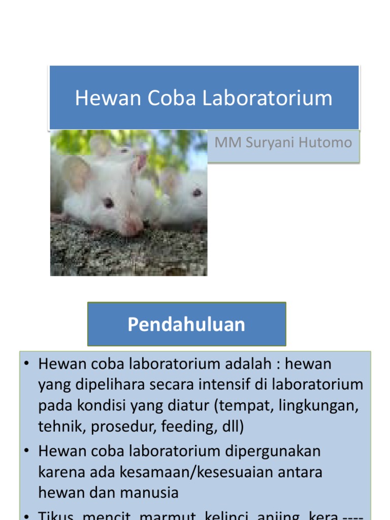 2018 - Hewan Coba Laboratorium | PDF