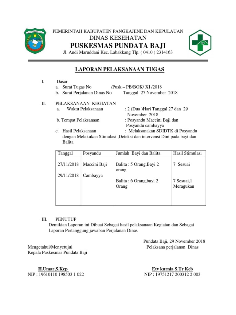 Laporan SDIDTK Balita di Puskesmas | PDF
