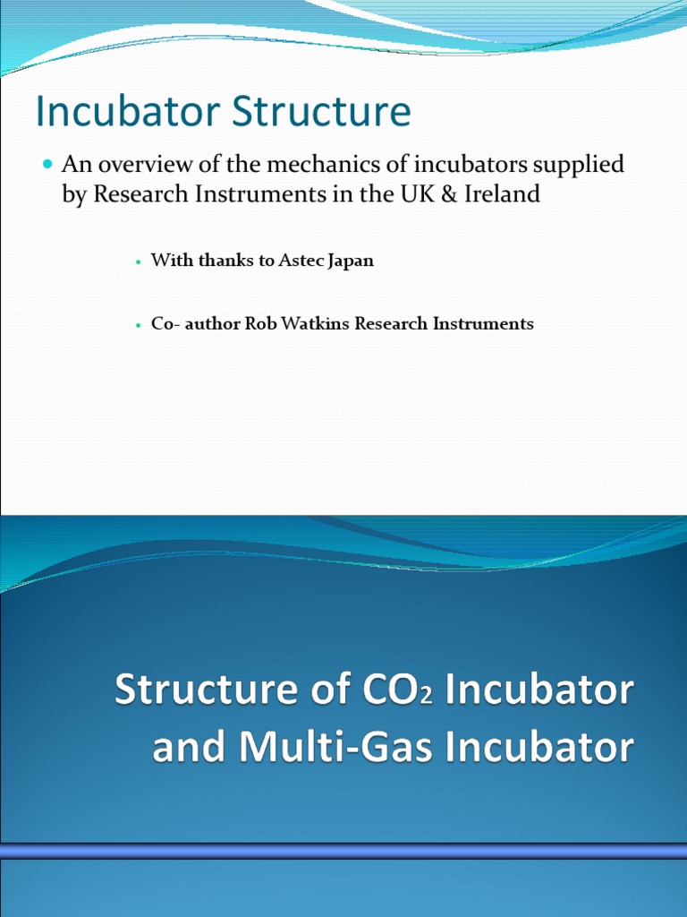 Incubator Structure: An Overview of The Mechanics of Incubators ...