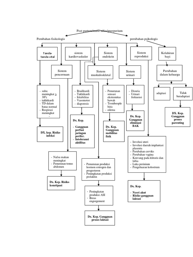 Pathway Post Partum | PDF
