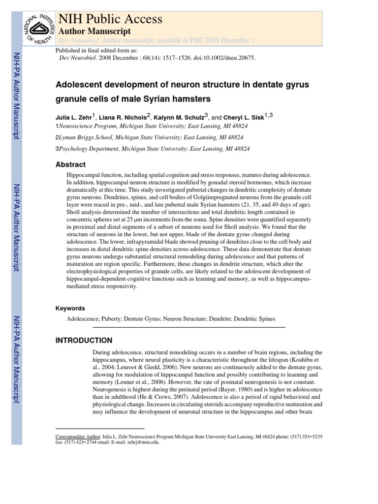 Adolescent Development of Neuron Structure in Dentate Gyrus | PDF ...