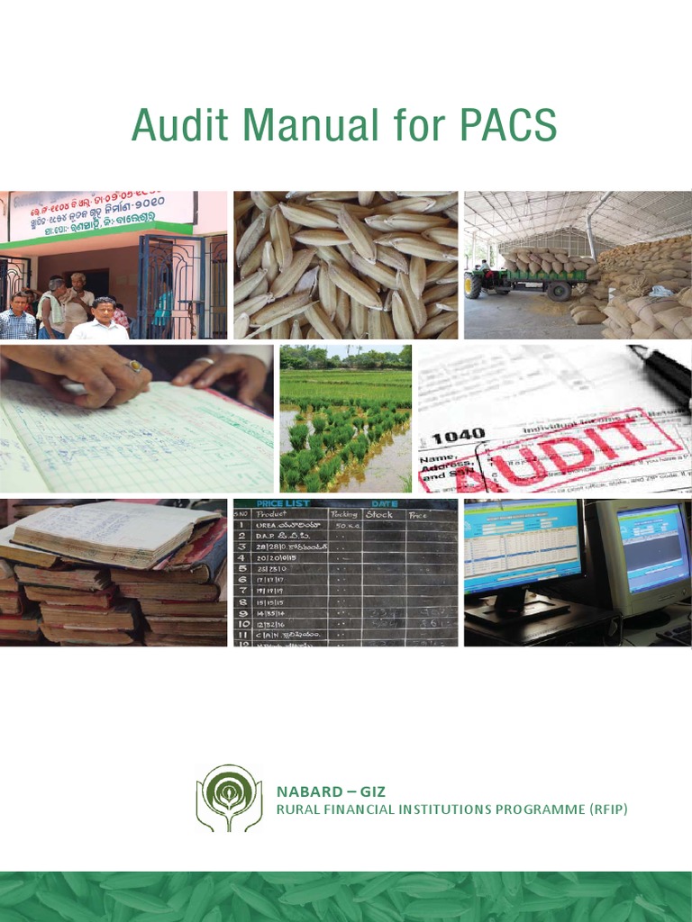 Audit Manual-NABARD | PDF | Internal Control | Audit