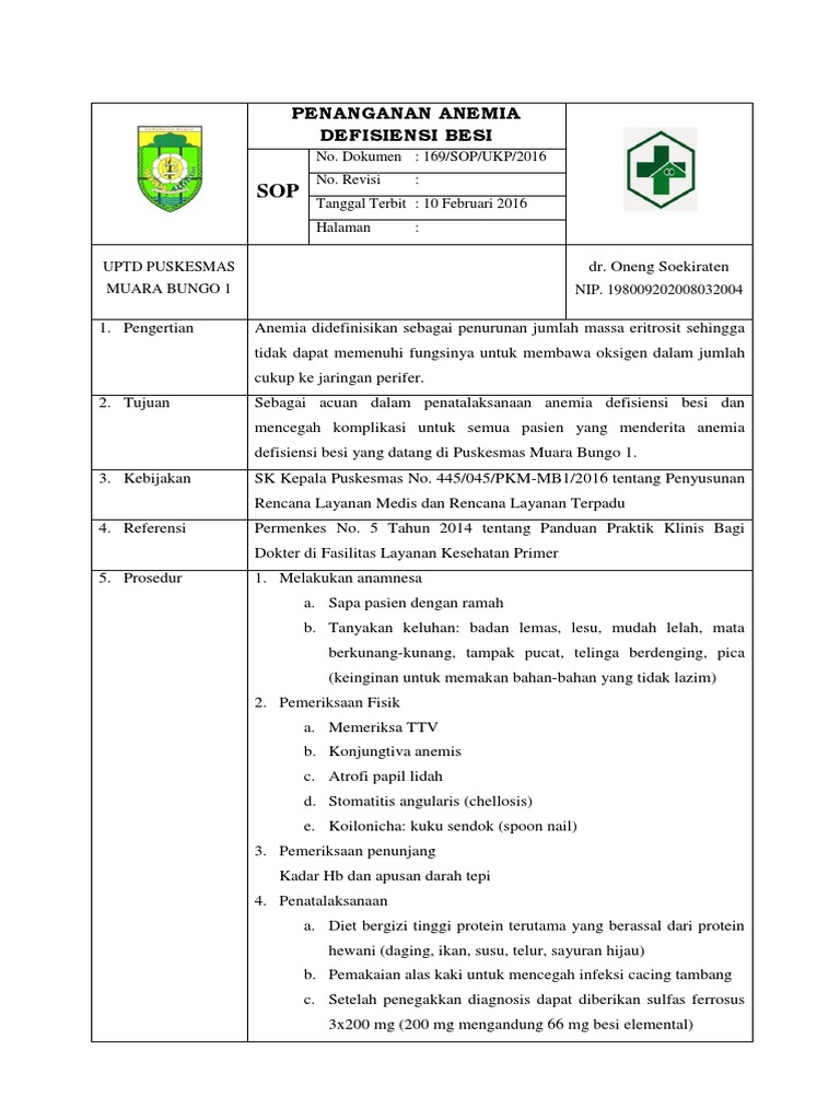SOP Anemia Defisiensi Besi | PDF