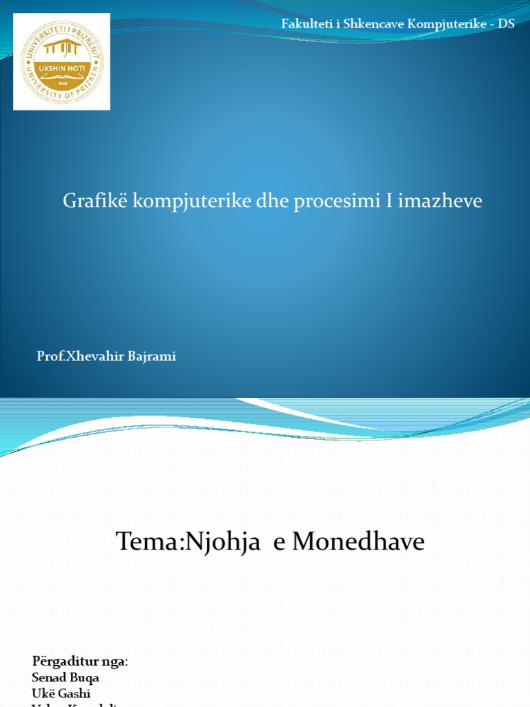 Punimi Ne Grafike Kompjuterike | PDF