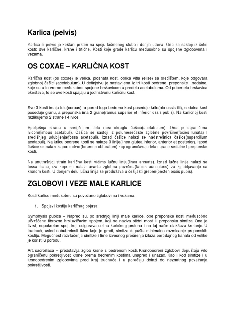 Karlica | PDF