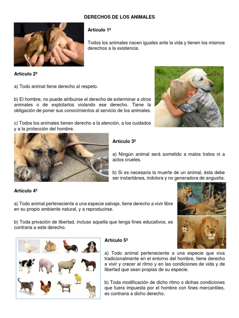 Derechos de Los Animales | PDF | Derechos animales | Vida