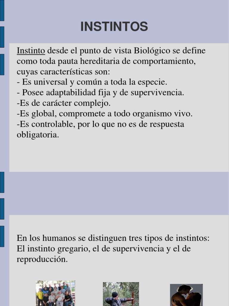 Tipos y Definición de Instintos Humanos | PDF