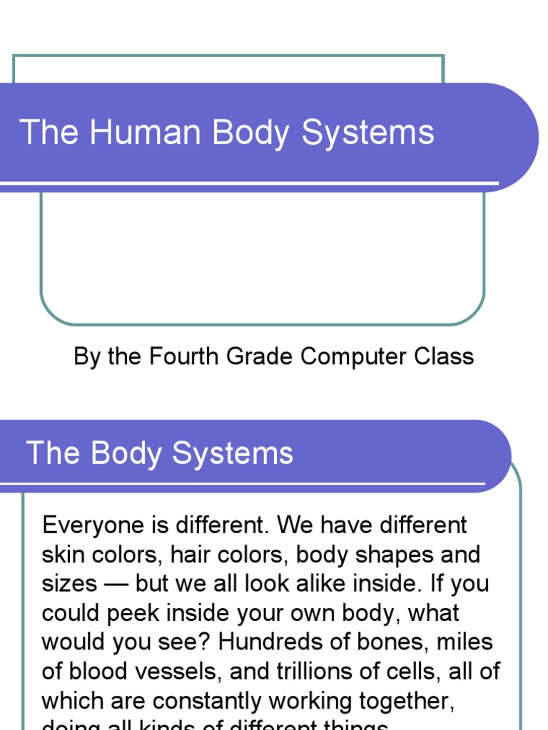 Overview of Human Body Systems | PDF | Skeleton | Human Digestive System