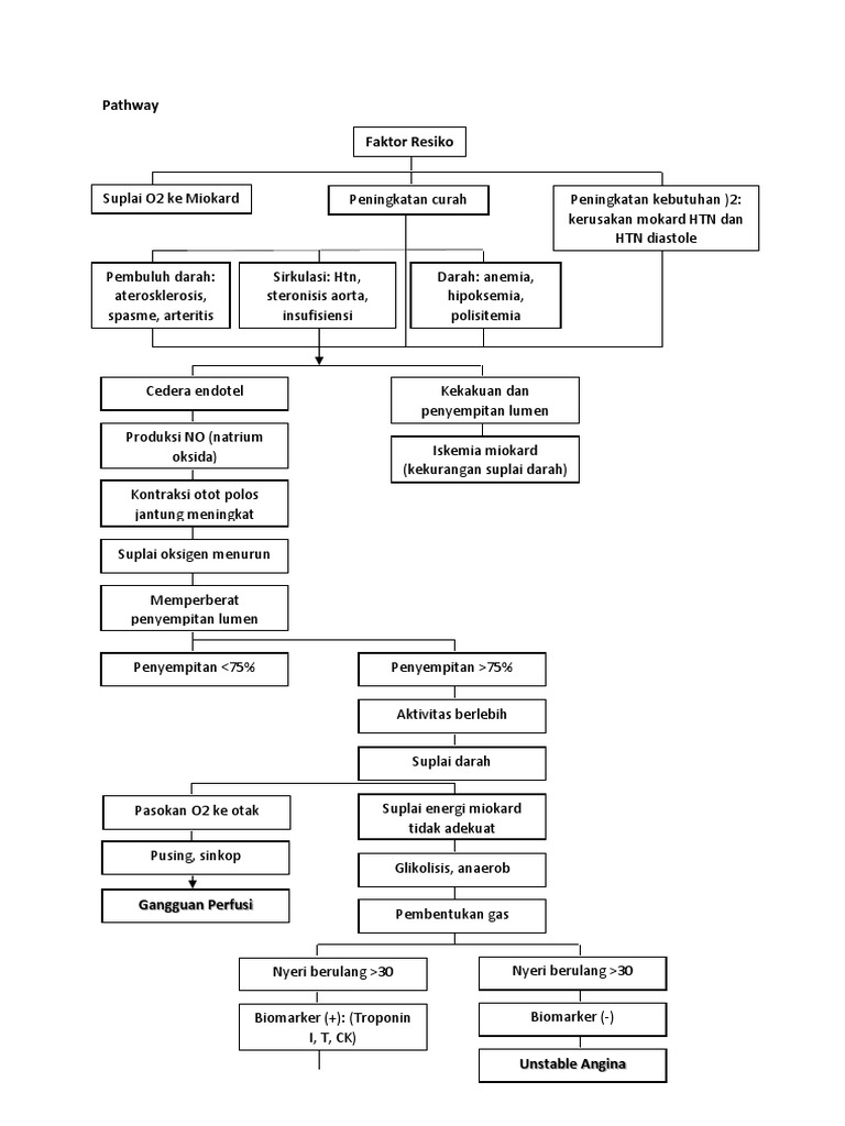 Pathway NSTEMI dan STEMI pada Miokard | PDF