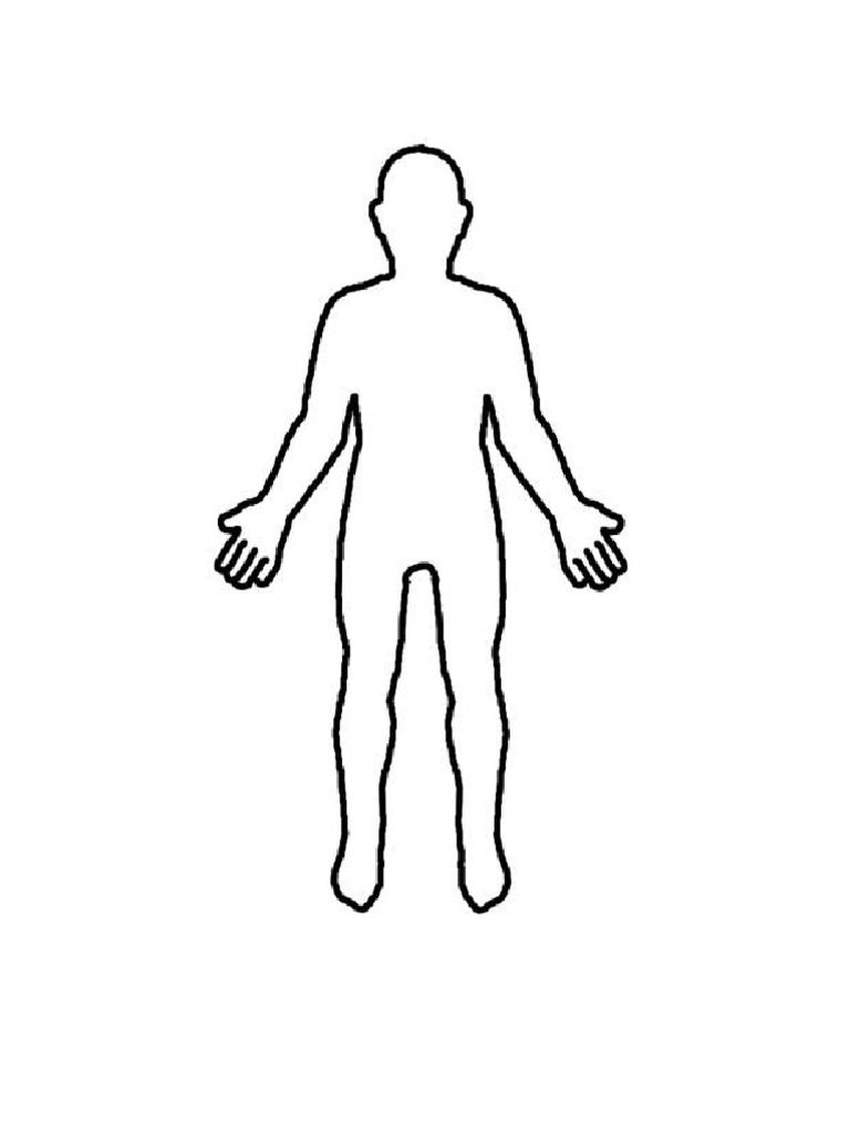 Forma Cuerpo Humano Dibujo