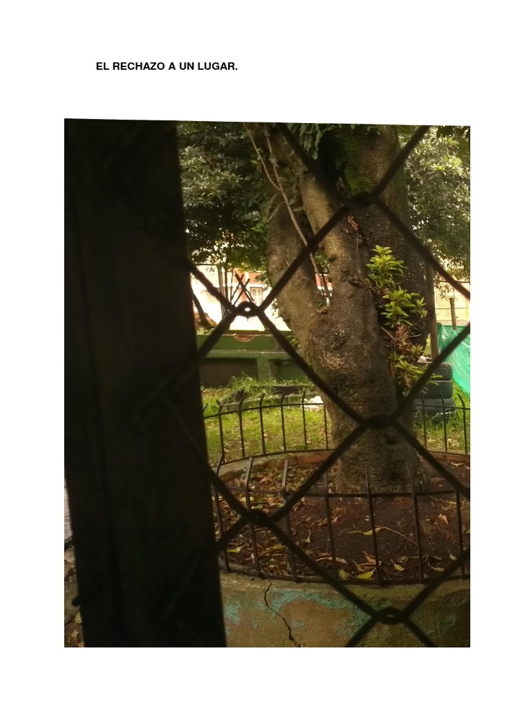 Topofobia en Mi Caso | PDF | Ciencias del comportamiento | Ciencia ...