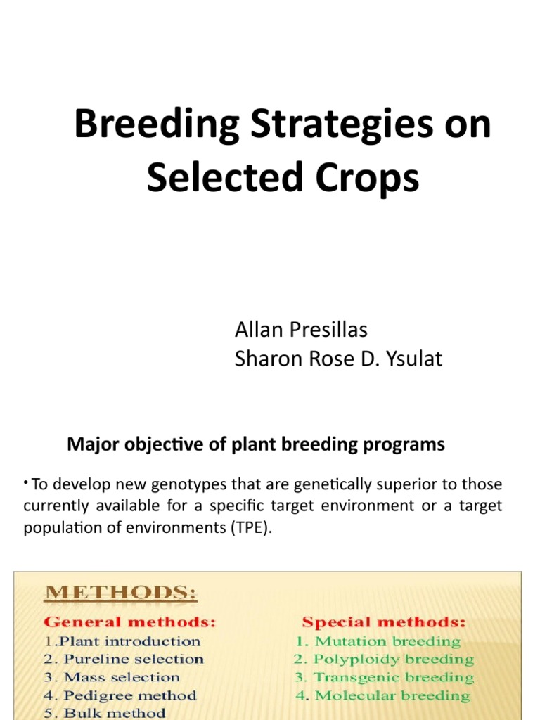 Breeding Strategies | PDF | Plant Breeding | Dominance (Genetics)