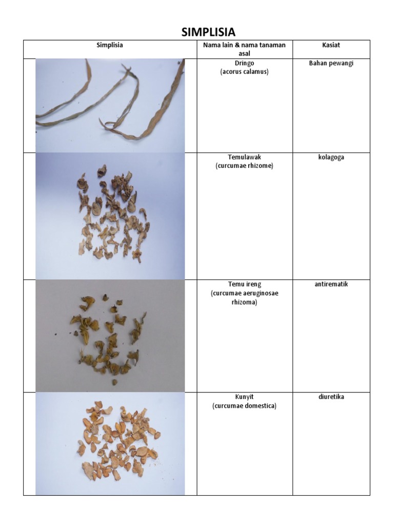 SIMPLISIA | PDF