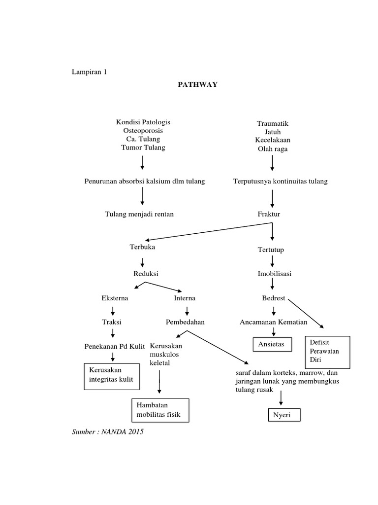 Pathway: Sumber: NANDA 2015 | PDF