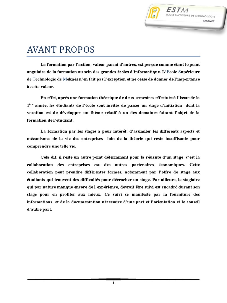 Rapport de Stage - Copie | PDF | Application | Comptabilité