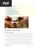 Pig Feeding Guidelines and Charts | PDF | Pig | Animals And Humans
