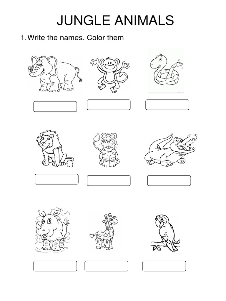 Jungle Animals Como Ensenar La Escritura y La Escritura Creativa 105791 ...