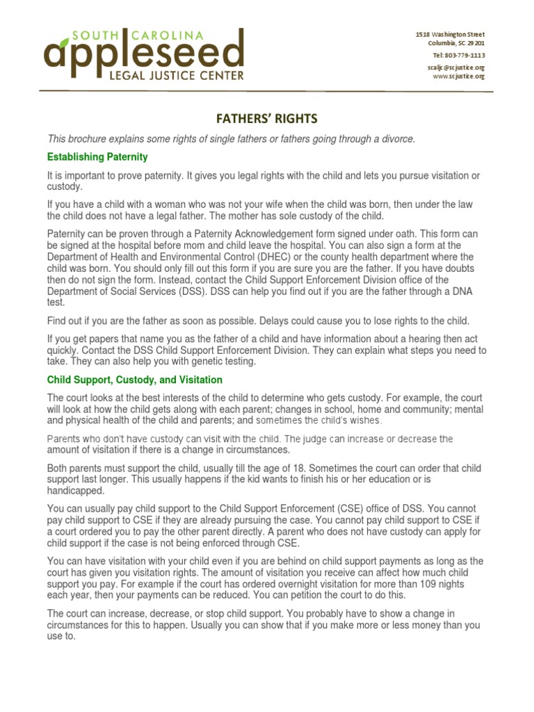 Fathers Rights Brochure | PDF | Child Support | Contact (Law)
