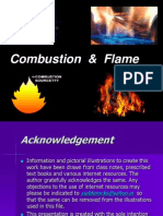 CBSE Class 8 Science: Combustion & Flames | PDF | Combustion | Fires
