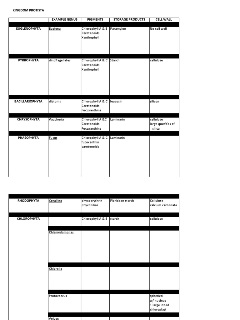Chart - Kingdom Protista | PDF | Algae | Eukaryotes